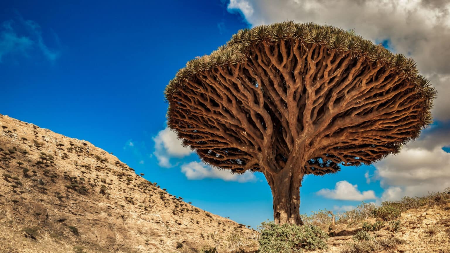 12 Unbelievably Strange Islands That Hard to Believe Are Real