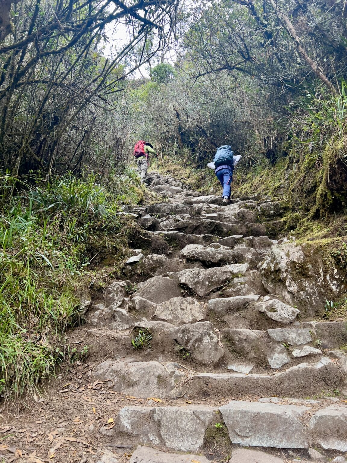The Inca Trail Hike to Machu Picchu - EVERYTHING You Need to Know ...