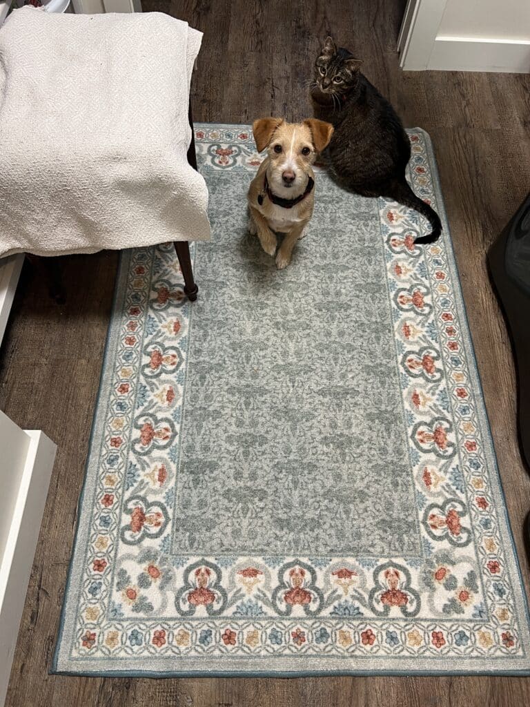 Why I Returned Almost All of My Ruggable Rugs: An Honest Review You ...