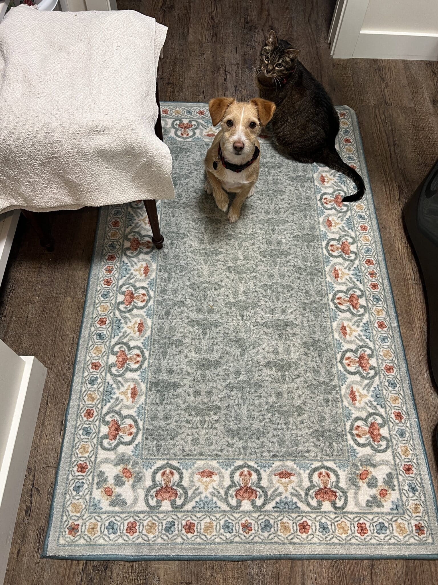 Why I Returned Almost All of My Ruggable Rugs: An Honest Review You ...