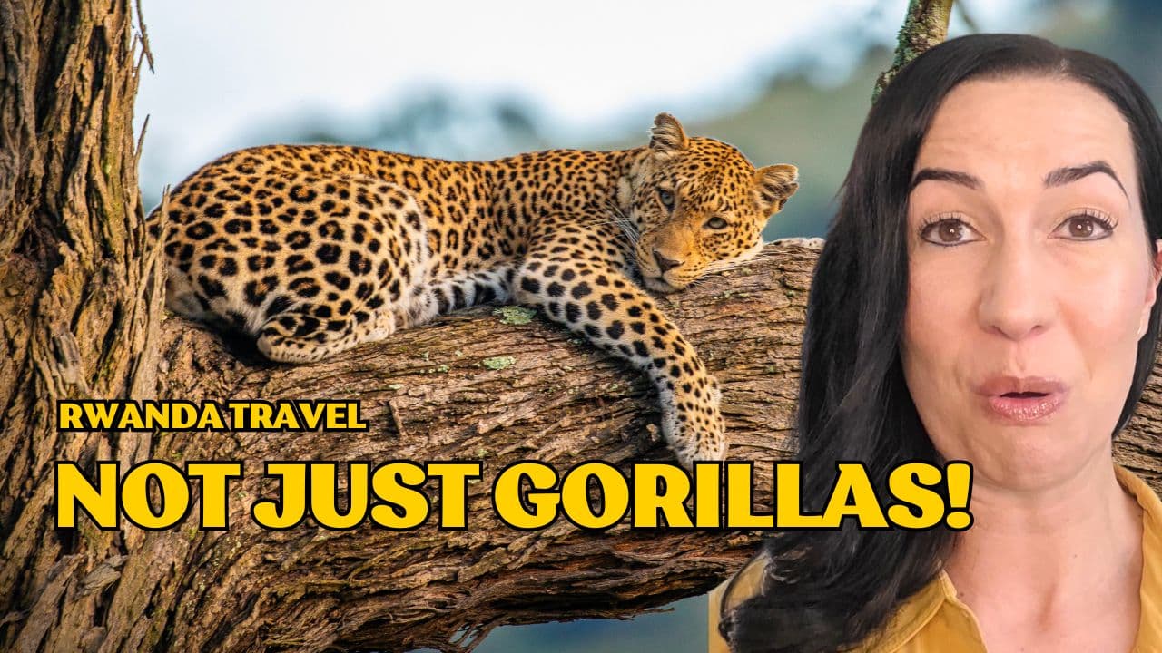 I Thought Rwanda Was Just for Gorilla Trekking. I Was So Wrong.